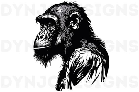 Baboon Png Svg Clipart Vector Graphic By Dynjodesigns · Creative Fabrica
