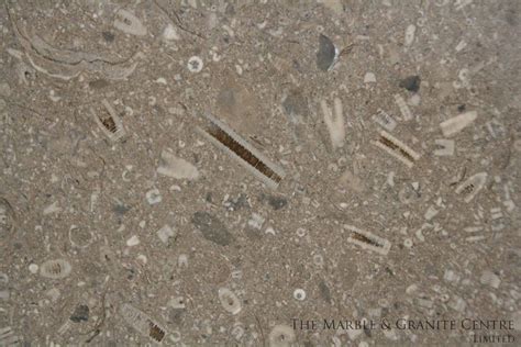 Derbyshire Fossil Limestone Online
