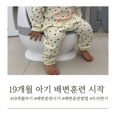 19개월 아기 배변훈련 시기 방법 두리 변기 네이버 블로그