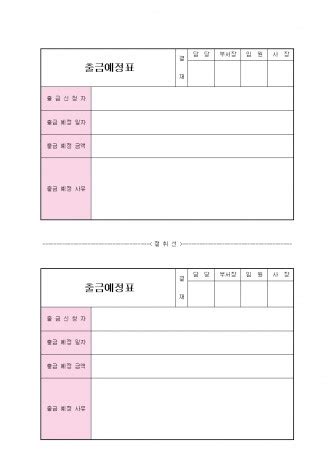 출금예정표