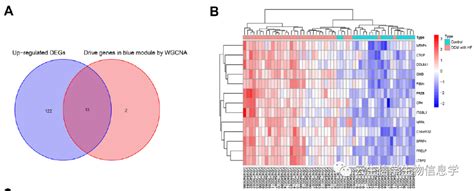 双疾病纯生信分析又添新思路！6分 Wgcna和机器学习鉴定诊断基因 关键信号通路！不蹭热点也能轻松发文~ 知乎