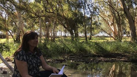 Grant Money To Fund Ali Cobby Eckermanns First Novel Sbs Nitv