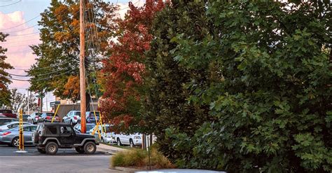 가을 가을 색 거리 경찰 경찰차 경치 경치가 좋은 공공 서비스 교외의 교통 긴급 차량 나무 낮 단풍 도로 도로 안전 도시 경관 도시의 삶