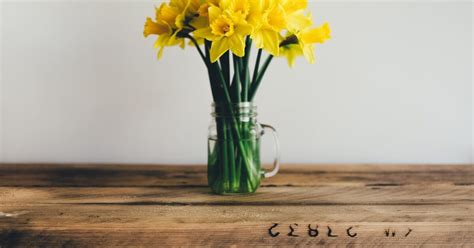 ¿qué Significa Que Te Regalen Flores Amarillas El 21 De Marzo Para