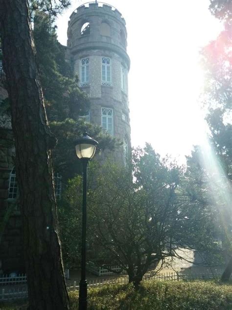 城镇化背景下我国义务教育改革和发展机制研究 山东组调研报告 知乎