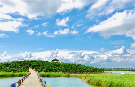 雁荡湖 热门景点 南大港湿地