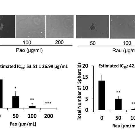Pao And Rau Inhibited Ovarian Tumor Spheroids Formation Skov3