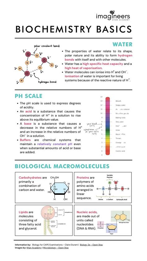 Biochemistry Basics Chemistry Study Notes Guides