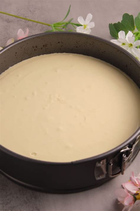 Double Graham Cracker Crust Cheesecake The Squeaky Mixer