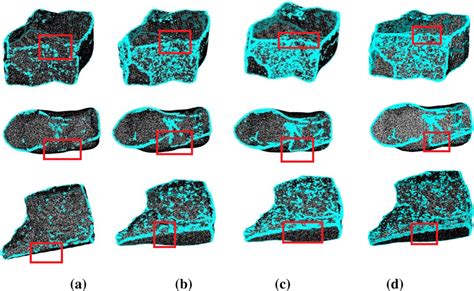 feature point extraction results of different models at different