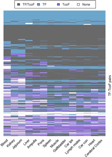 Heat Map Representation Of Tf Tcof Coexpression In 14 Bovine Tissues