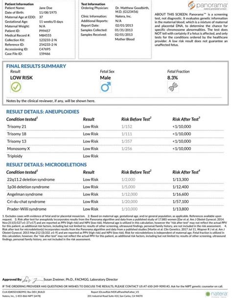 Sample Report Examples For Panorama Regarding Dr Test Report Template