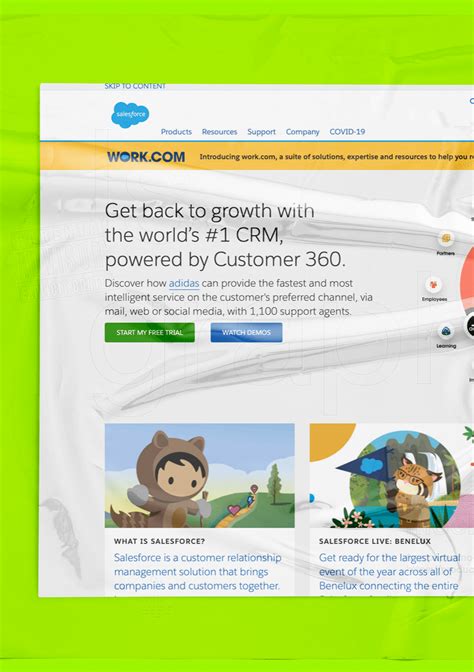 Salesforce Capabilities Faye