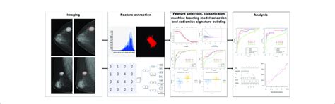 Flow Chart Of Radiomic Analysis Of Round Like Masses On DM Images