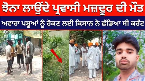 ਝੋਨਾ ਲਾਉਂਦੇ ਪ੍ਰਵਾਸੀ ਮਜ਼ਦੂਰ ਦੀ ਮੌਤਕਿਸਾਨ ਨੇ ਅਵਾਰਾ ਪਸ਼ੂਆਂ ਨੂੰ ਰੋਕਣ ਲਈ