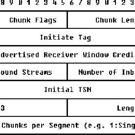 SCTP INIT INIT ACK Chunk With The Partial Checksum Option Download Scientific Diagram