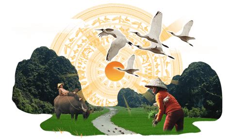 Top 12 Most Iconic Vietnamese Symbols Discover Them