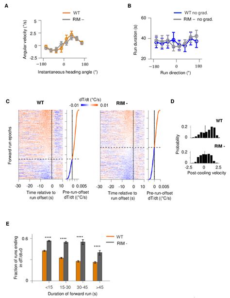 Figure Supplement Rim Ablation Results In Higher Likelihood Of