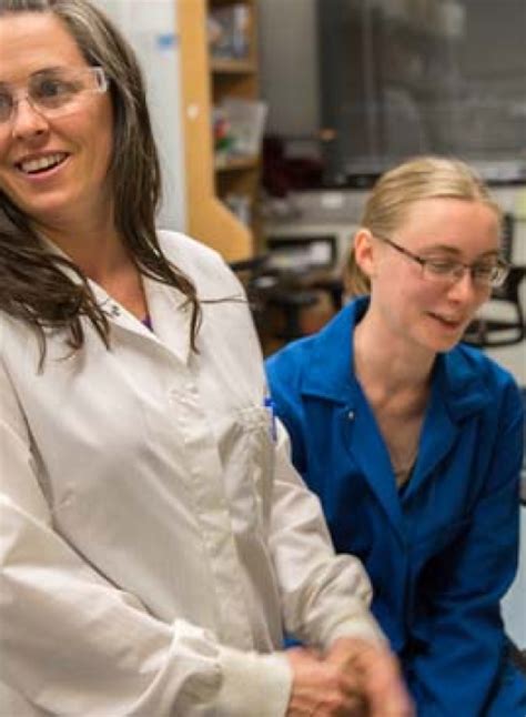biomolecular engineering and bioinformatics