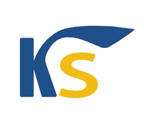 Company Overview Shenzhen Kaisheng Network Co Ltd