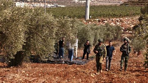 Israeli Forces Settlers Attack Palestinian Farmers And Olive Groves In