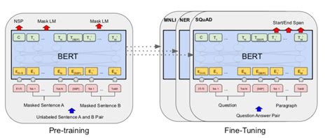 Fake News Classification With Bert By Sadrach Pierre Ph D Towards Data Science