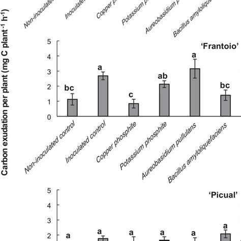 An Overview Of The Method Developed To Extract Root Exudates From Olive Download Scientific