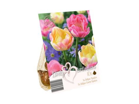 Colour Mix Bulbs Lidl Great Britain Specials Archive