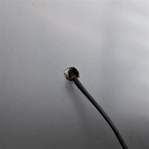 Fitting Ethernet Socket In Garden Office Do I Need A Back Box R Diyuk