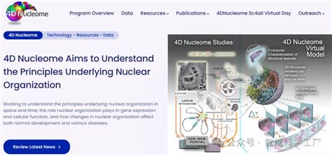 三维基因组hi C 数据格式 腾讯云开发者社区 腾讯云