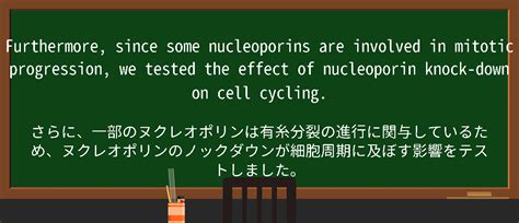 Nucleoporin