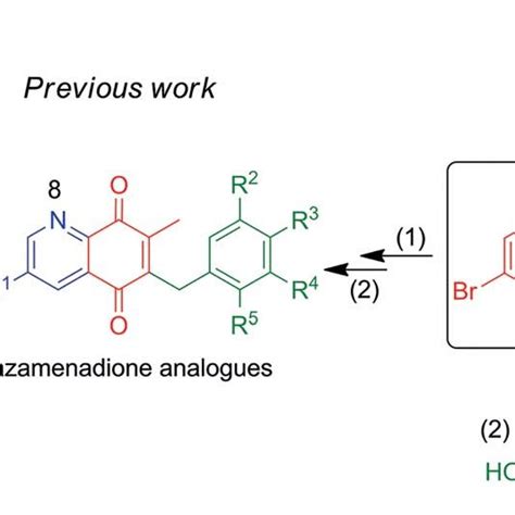 Scheme 5 Oxidation Of The Corresponding α Naphthols 4 And 9 To