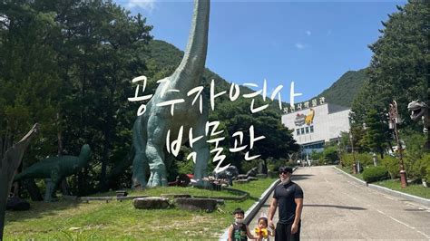 공주가볼만한곳 자연사박물관 Youtube