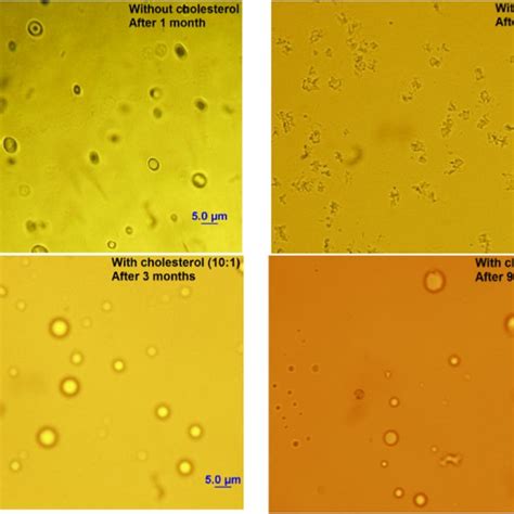 Uvvis Spectra Of A Liposome And B Liposome Containing Curcumin