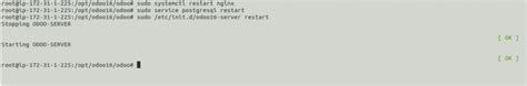How To Set Up The Nginx Server For The Odoo Application Cloudkul