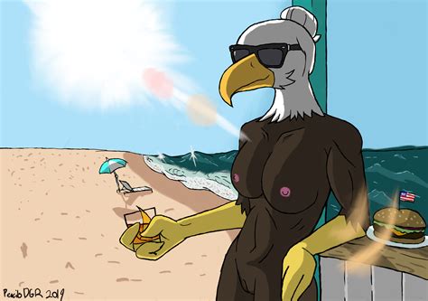 Rule 34 2019 Accipitrid Accipitriform Avian Bald Eagle Beach Beverage