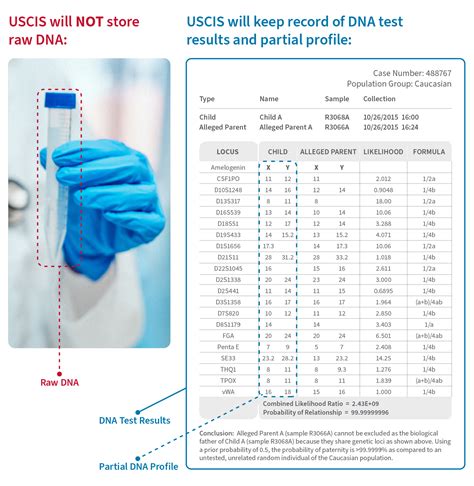 Cómo Comprender Nuestros Datos USCIS