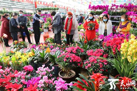 【高清组图】库尔勒：春节临近 年味浓 天山网 新疆新闻门户