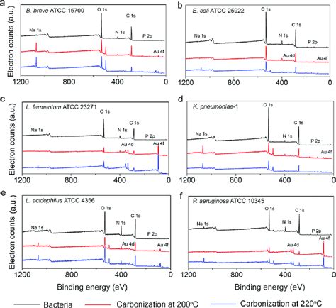 Examples Of Xps Wide Scan Binding Energy Spectra Of The Different