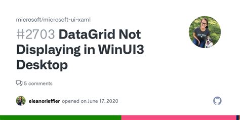 Datagrid Not Displaying In Winui Desktop Issue Microsoft