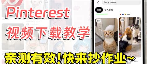 【必备神器】教你如何保存pinterest视频！原创新浪众测