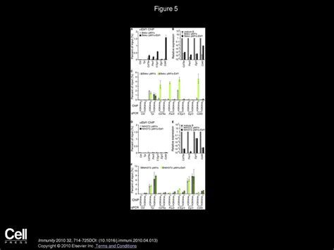 Volume 32 Issue 5 Pages May 2010 Ppt Download