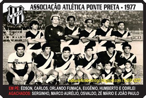 Associação Atlética Ponte Preta