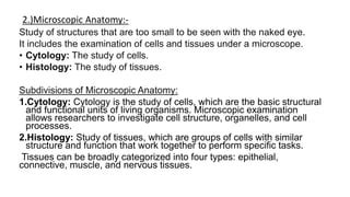 ANATOMY And Its Scope Pptx