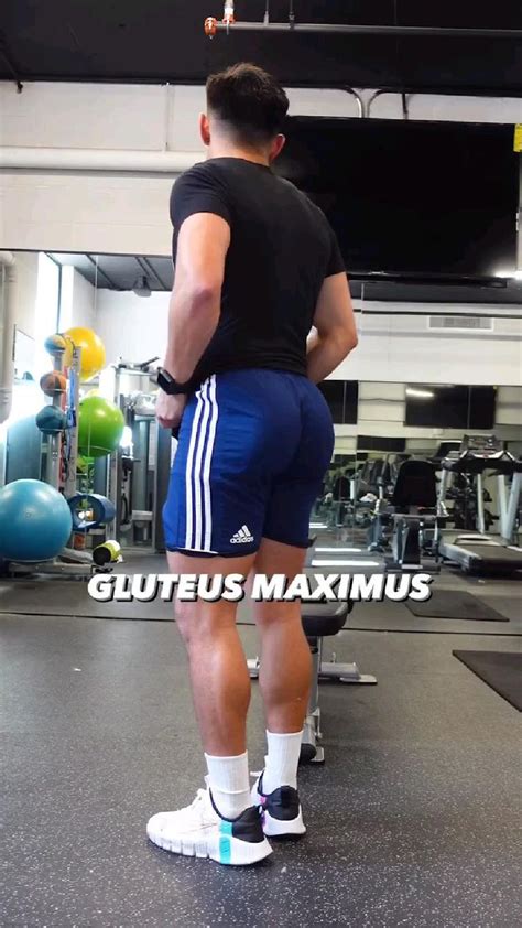 Huge Glutes Workout Big Glutes Exercises Wanna Big Attractive Glutes
