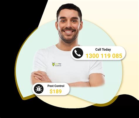Pests In Sydney And Their Effects To Homes And Businesses