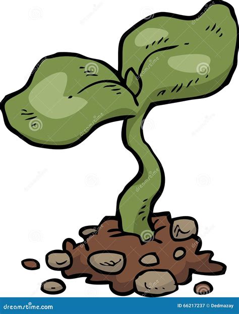 Cartoon Young Sprout Stock Vector Image 66217237