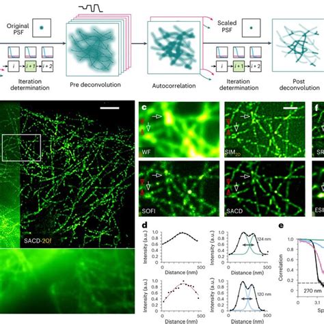 Workflow And Cross Validation Of Sacd A Reconstruction Of The Workflow Download Scientific
