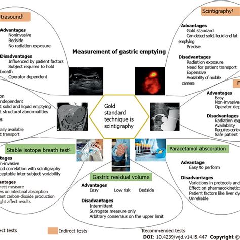 Measurement Of Gastric Emptying Download Scientific Diagram