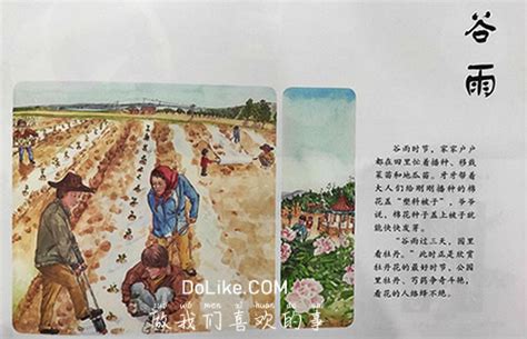 这就是二十四节气谷雨 做我们喜欢的事